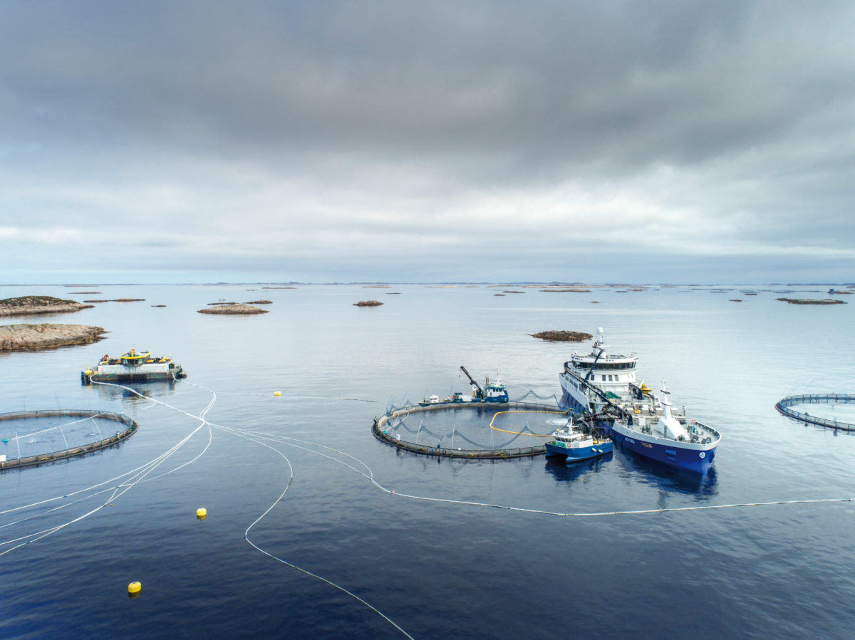 ANYTHING BUT FISHY BUSINESS - PALFINGER MARINE Stories